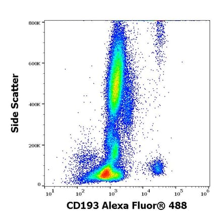 CCR3 Antibodies | Antibodies.com