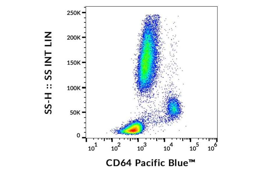 Anti-CD64 Antibody [10.1] (Pacific Blue™) (A18844)