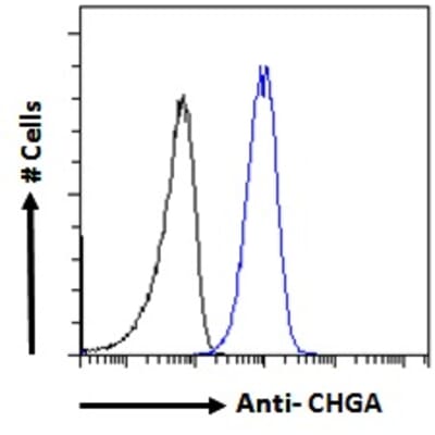 Anti-CHGA Antibody (A84217) | Antibodies.com