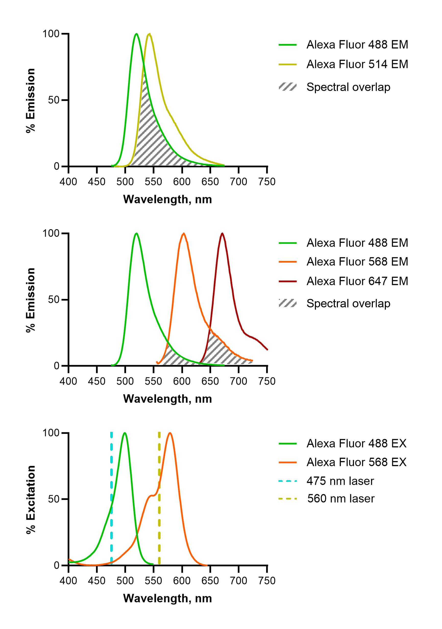 Immunocytochemistry-Immunofluorescence: The Complete Guide